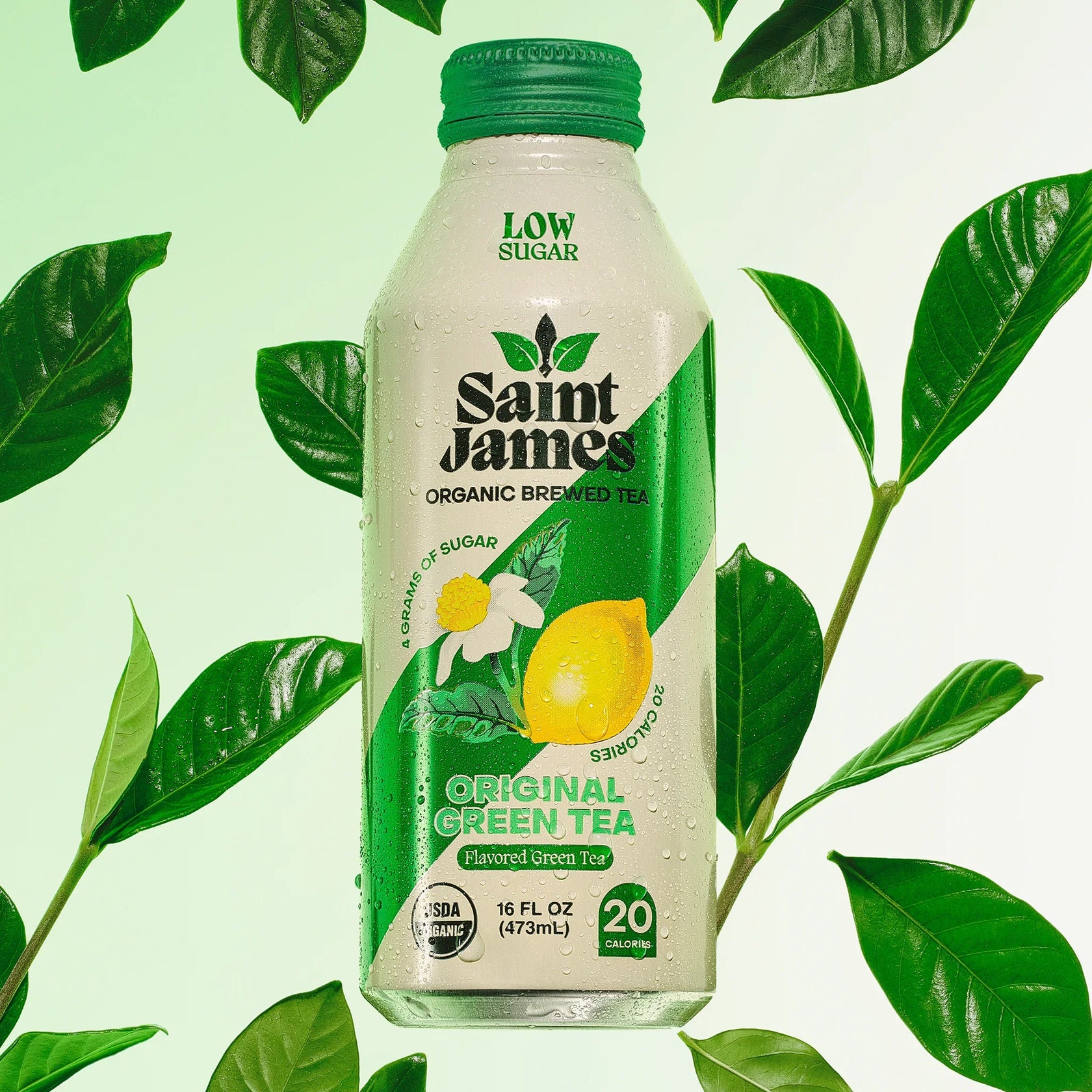 Original Green Tea – Saint James Iced Tea