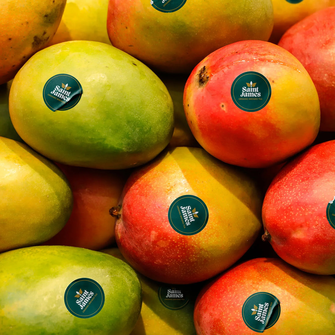 Mango - The White Lotus Limited Edition – Saint James Iced Tea